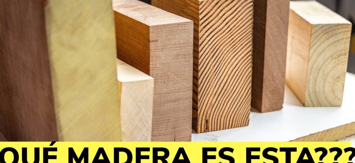 Como se llama el arbol de madera rojiza – NoSeHacerlo